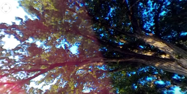 WUNDER 360 S1 360 Spherical Action Camera Review – Digital Producer ...